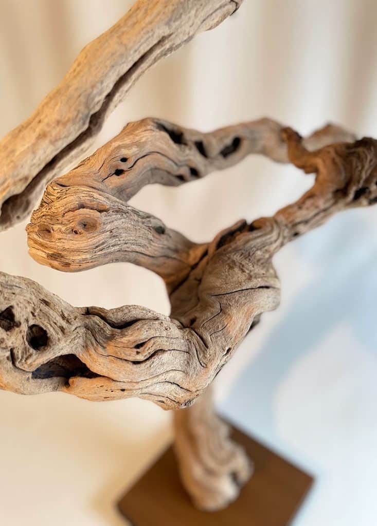 Pied de vigne déco - 3 branches - création artisanale en cep