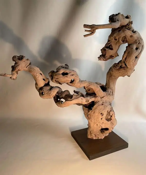 pied de vigne déco, fabrication atelier Vieille Branche